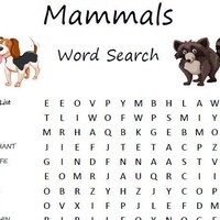 Animal Wordsearch | Puzzle - Etsy