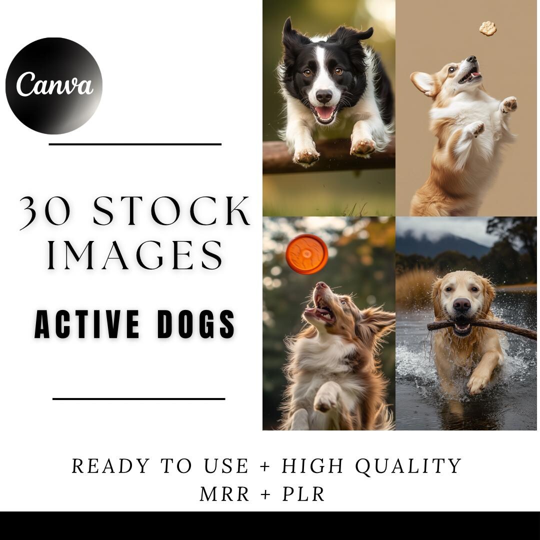 Dog Photos Active Dog Stock Photos | Dogs PLR MRR | Dog Instagram ...