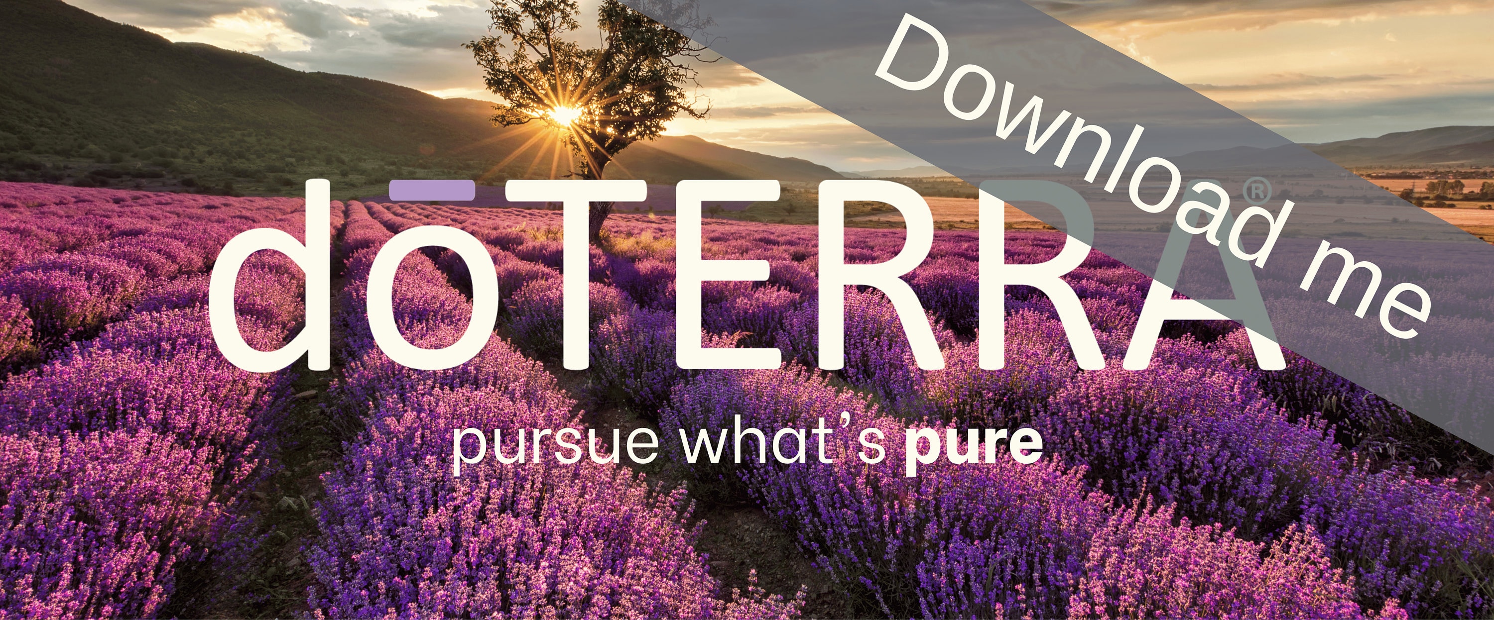 Doterra Banner Lavender PDF Printable & BONUS PNG File - Etsy
