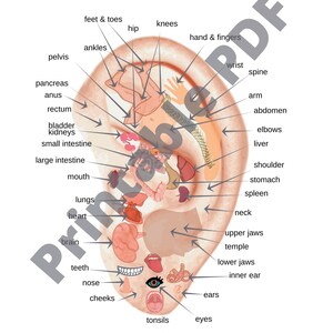 6 Best Selling Charts PDF Printable DEAL - Etsy
