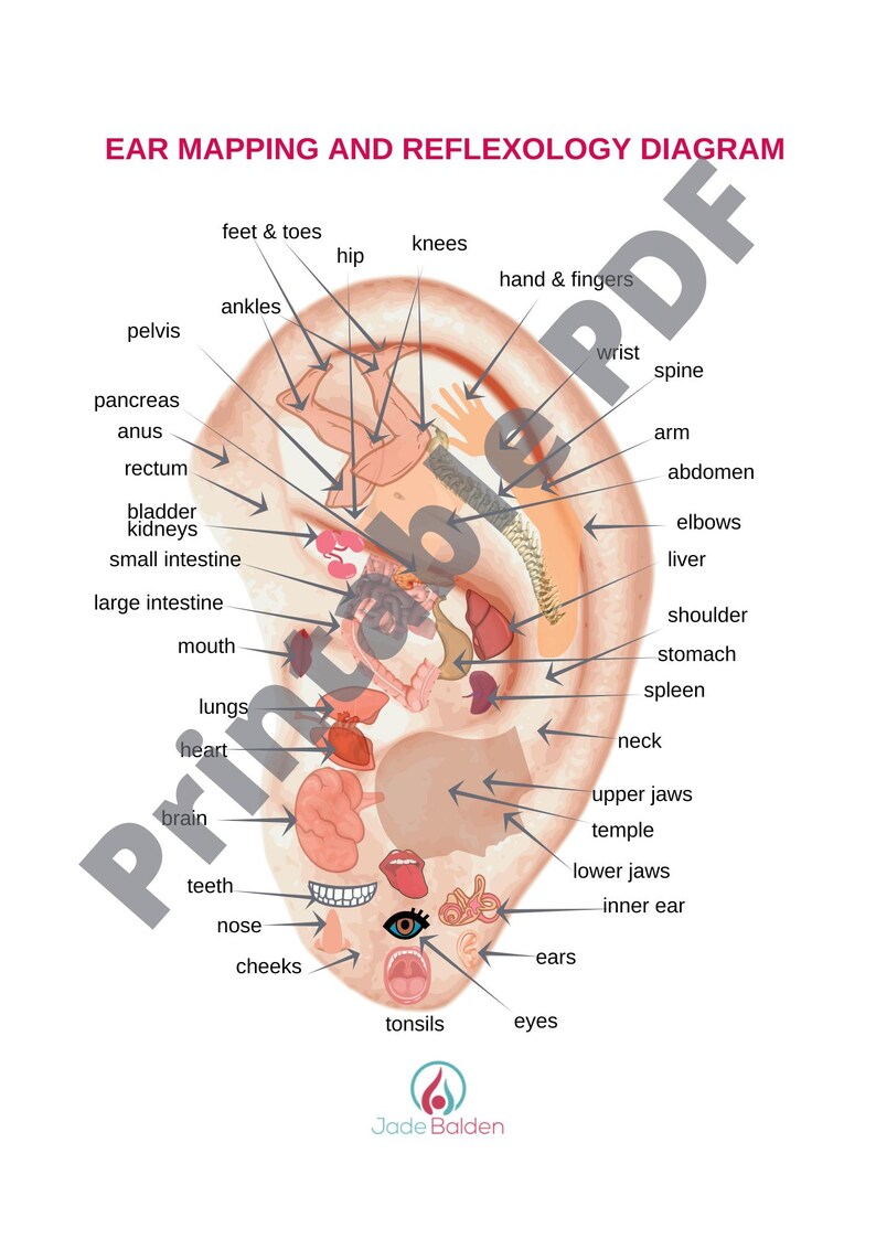 6 Best Selling Charts PDF Printable DEAL - Etsy