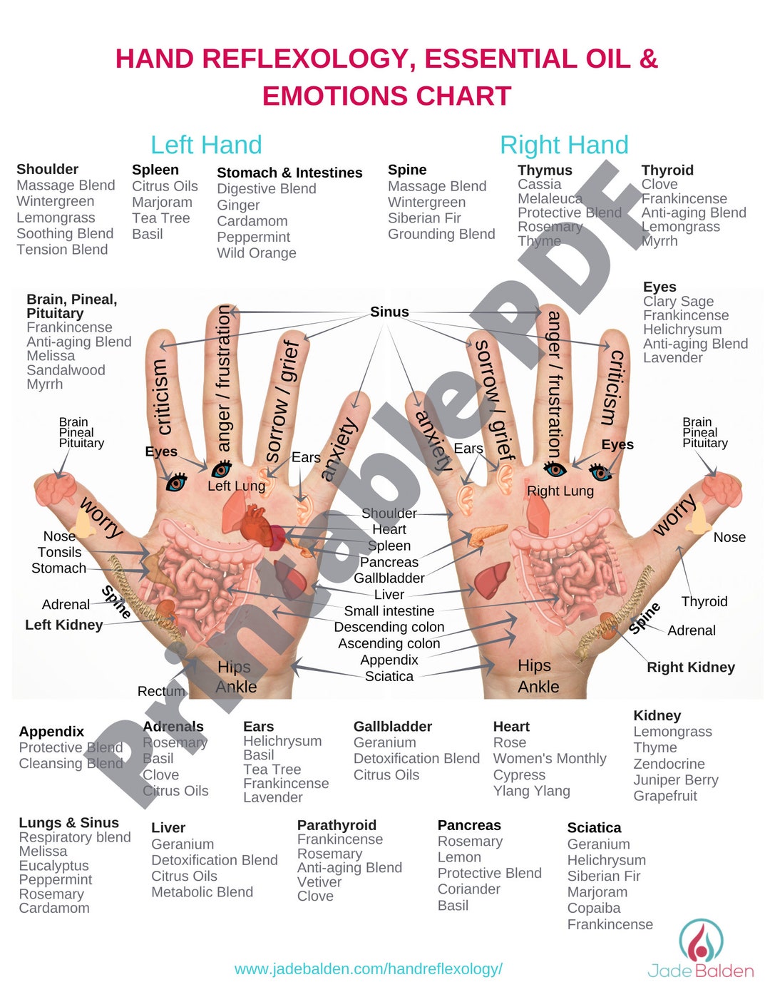 Hand Reflexology Chart PDF Printable - Etsy Canada