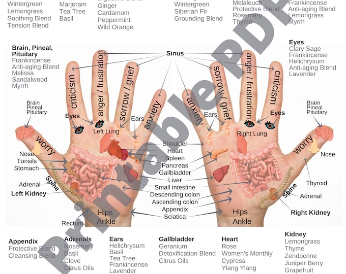 Reflexology Chart for Face, Hands, Ears, Teeth, With Acupressure Tips ...