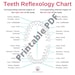 Teeth Reflexology Chart PDF Printable - Etsy