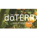 Doterra Banner Oranges PDF Printable - Etsy