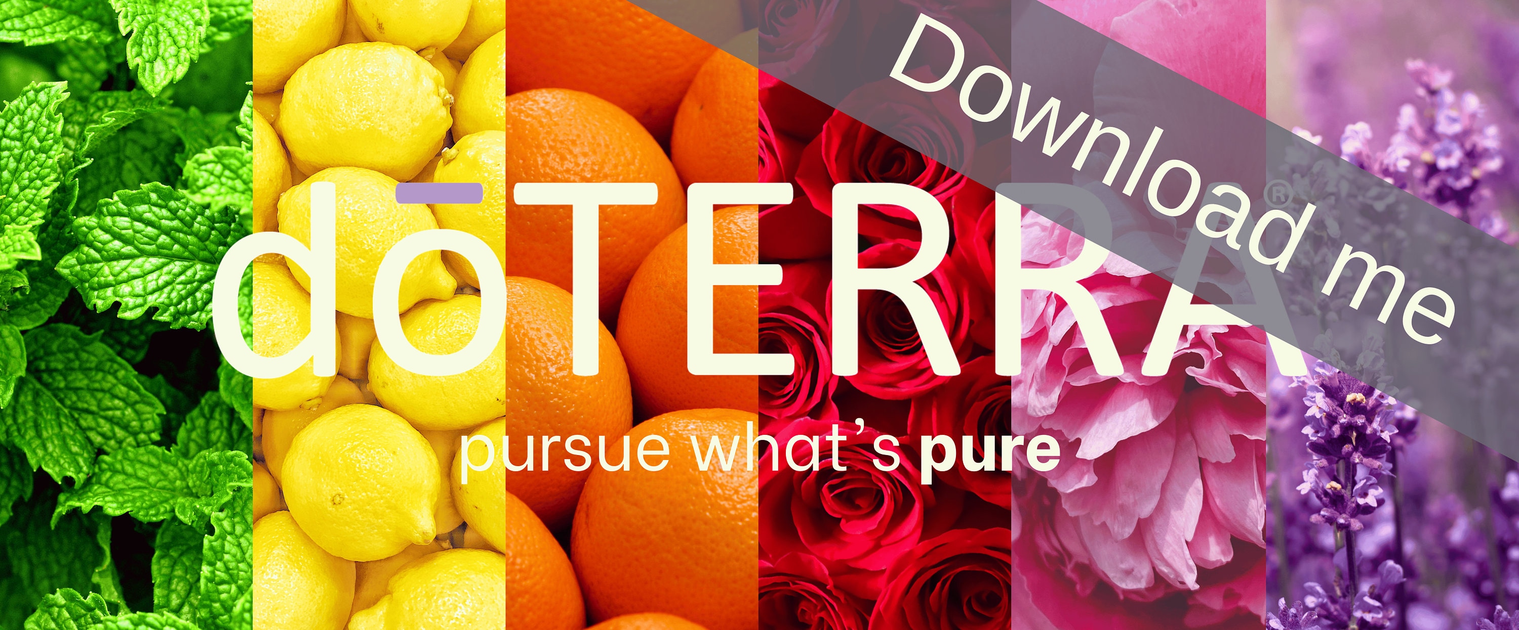 Doterra Banner Rainbow PDF Printable - Etsy