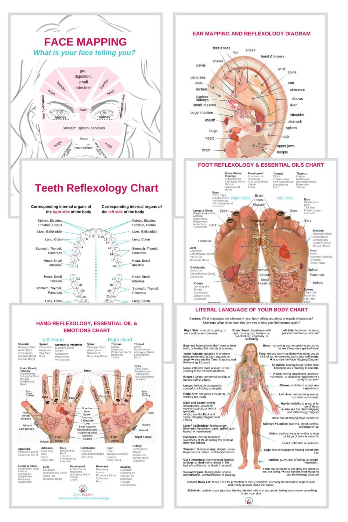 6 Best Selling Charts PDF Printable DEAL - Etsy