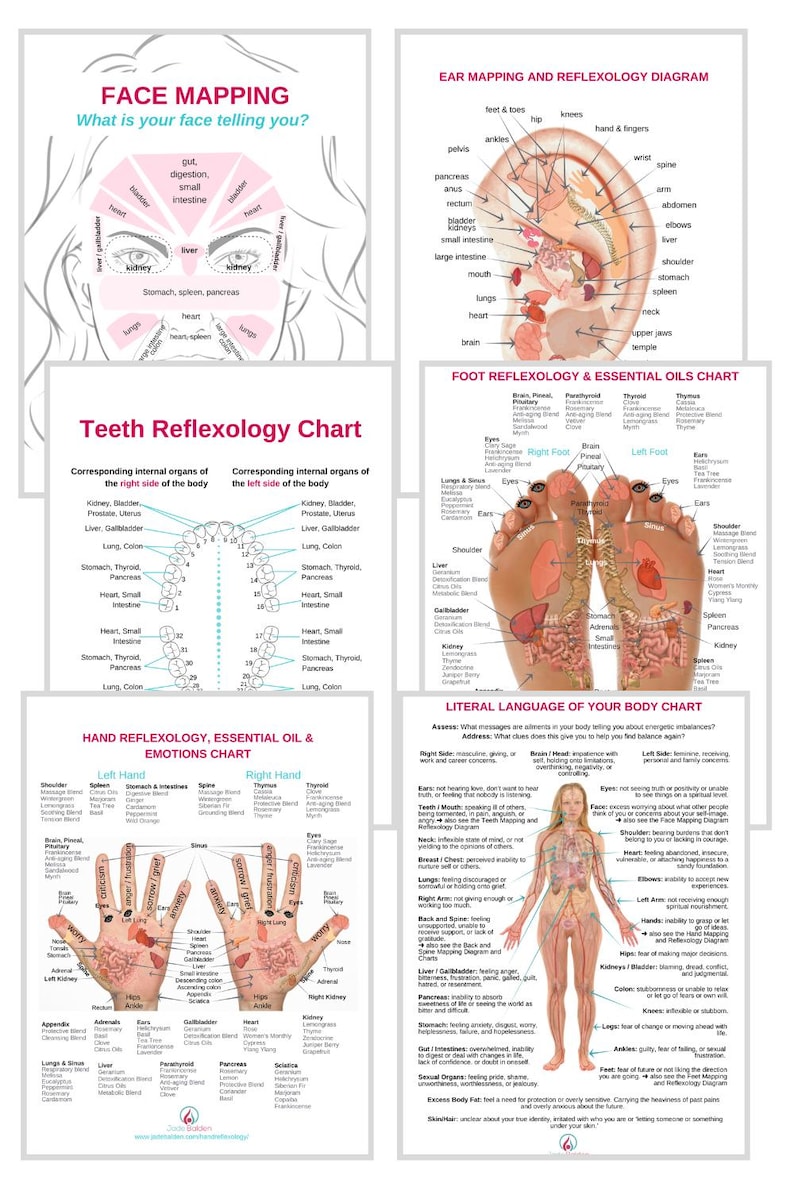 6 Best Selling Charts PDF Printable DEAL - Etsy