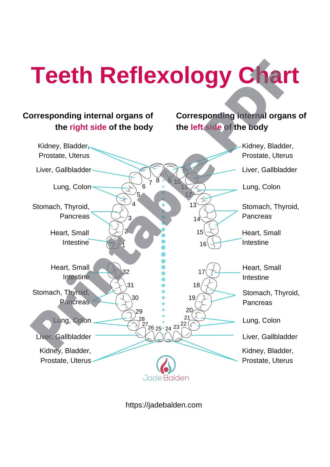 6 Best Selling Charts PDF Printable DEAL - Etsy