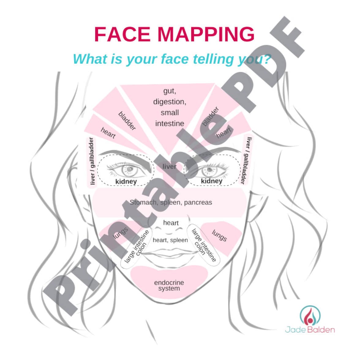 Face Mapping Chart PDF Printable - Etsy