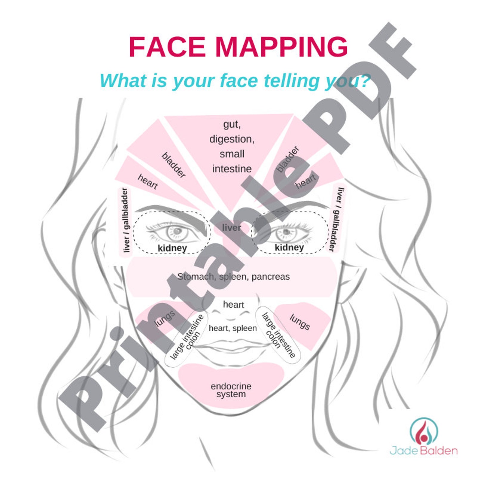 Face Mapping Chart PDF Printable - Etsy