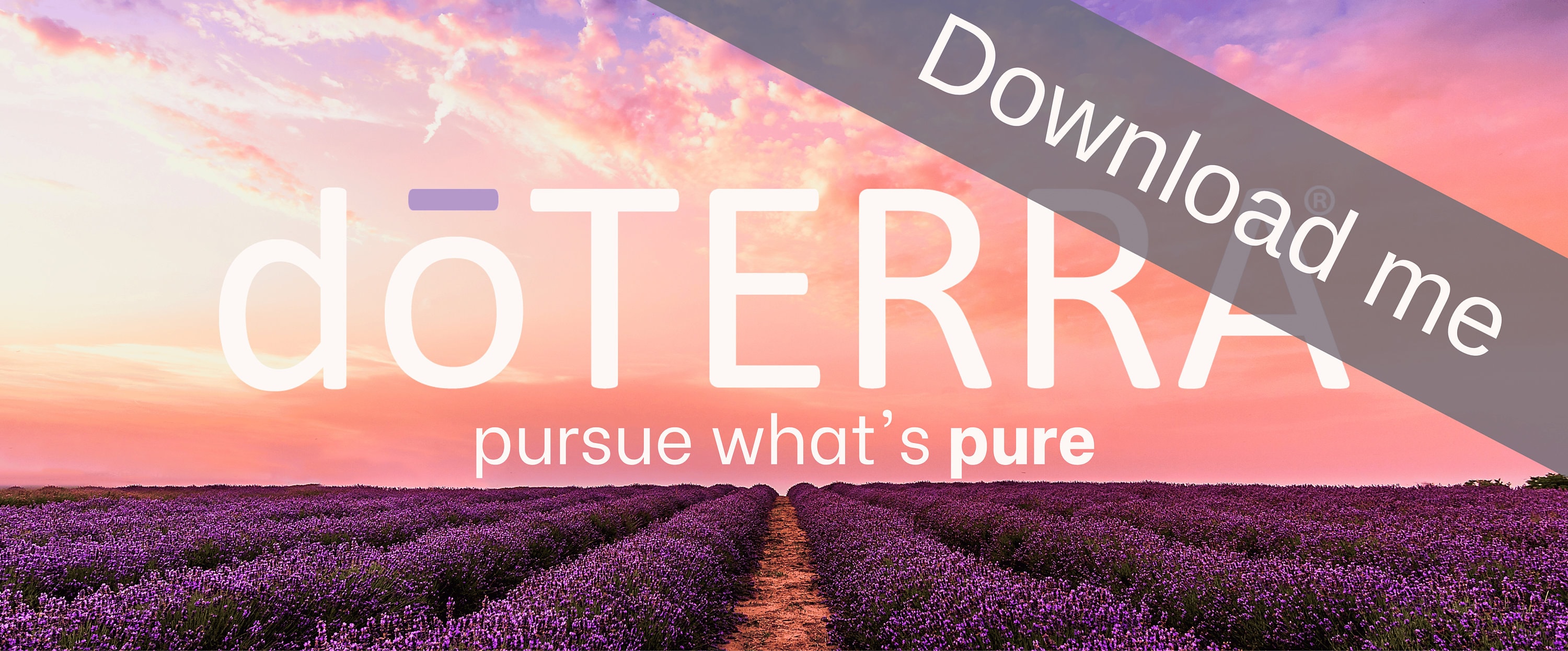 Doterra Banner Sunset Lavender PDF Printable - Etsy