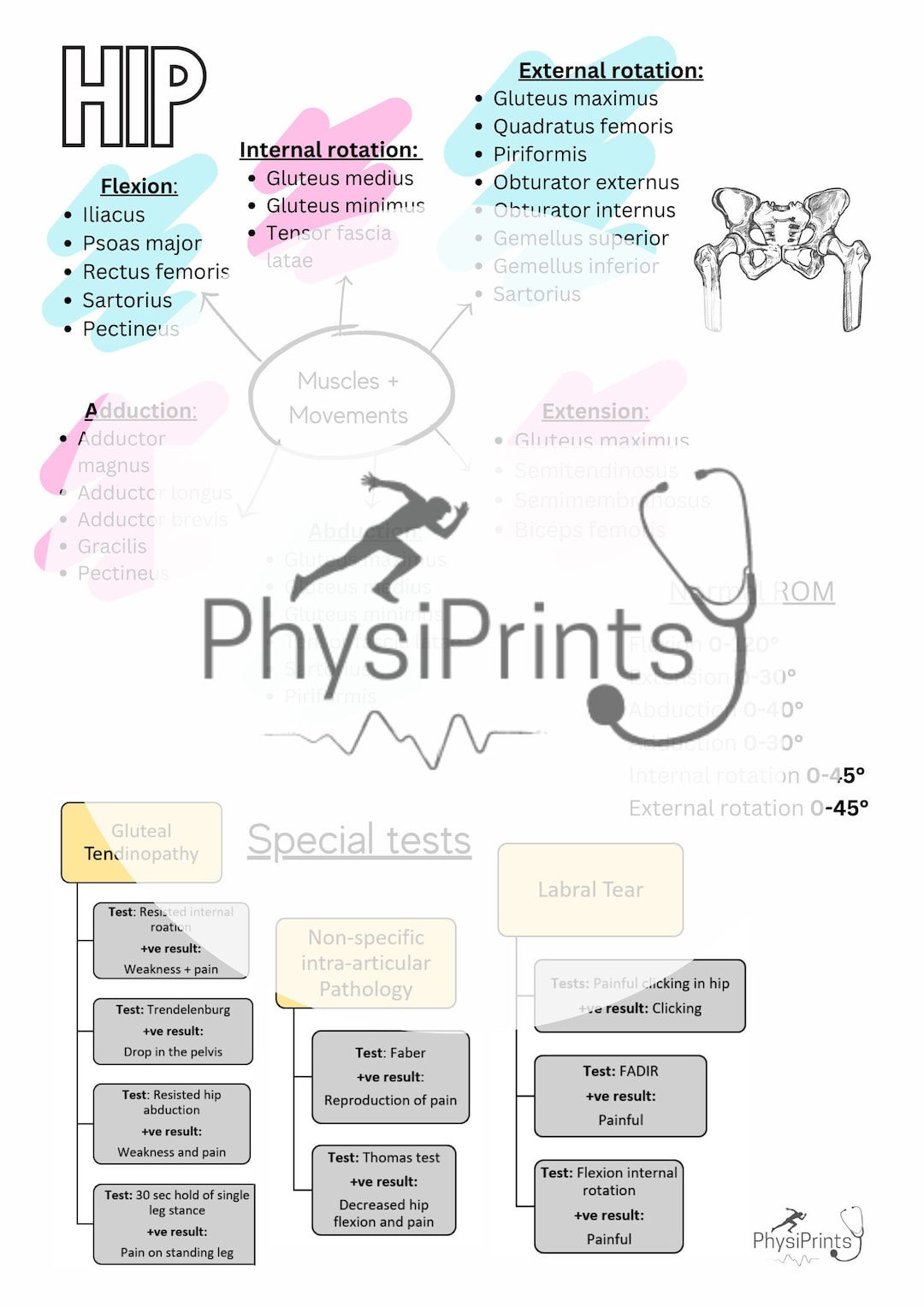 Hip Crib Sheet for Physiotherapy - Etsy UK