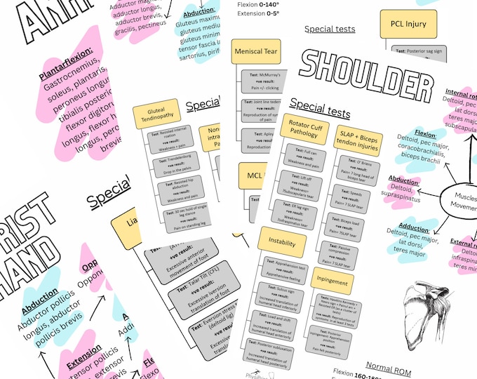 Spinal Cord Injury Concept Map & Expanded Chart - Etsy India
