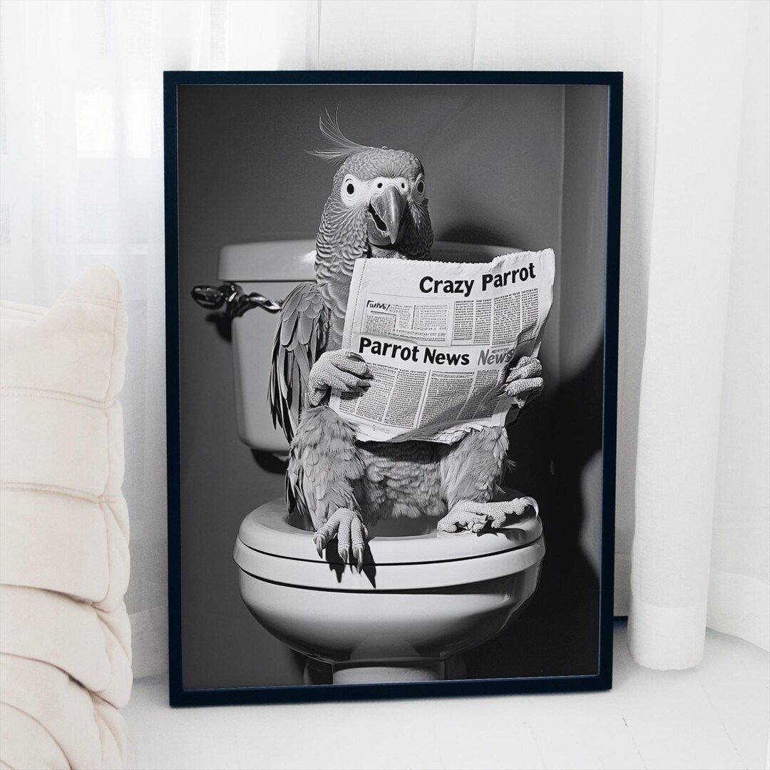 Funny Black and White Parrot Print - Humorous African Grey Parrot ...