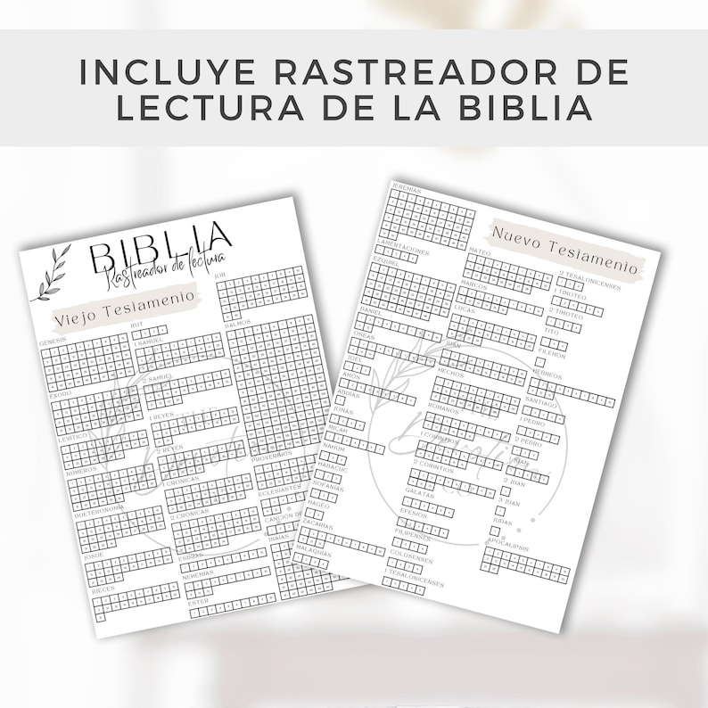Spanish Books of the Bible Summary Guide Digital Bible Study En Espanol ...