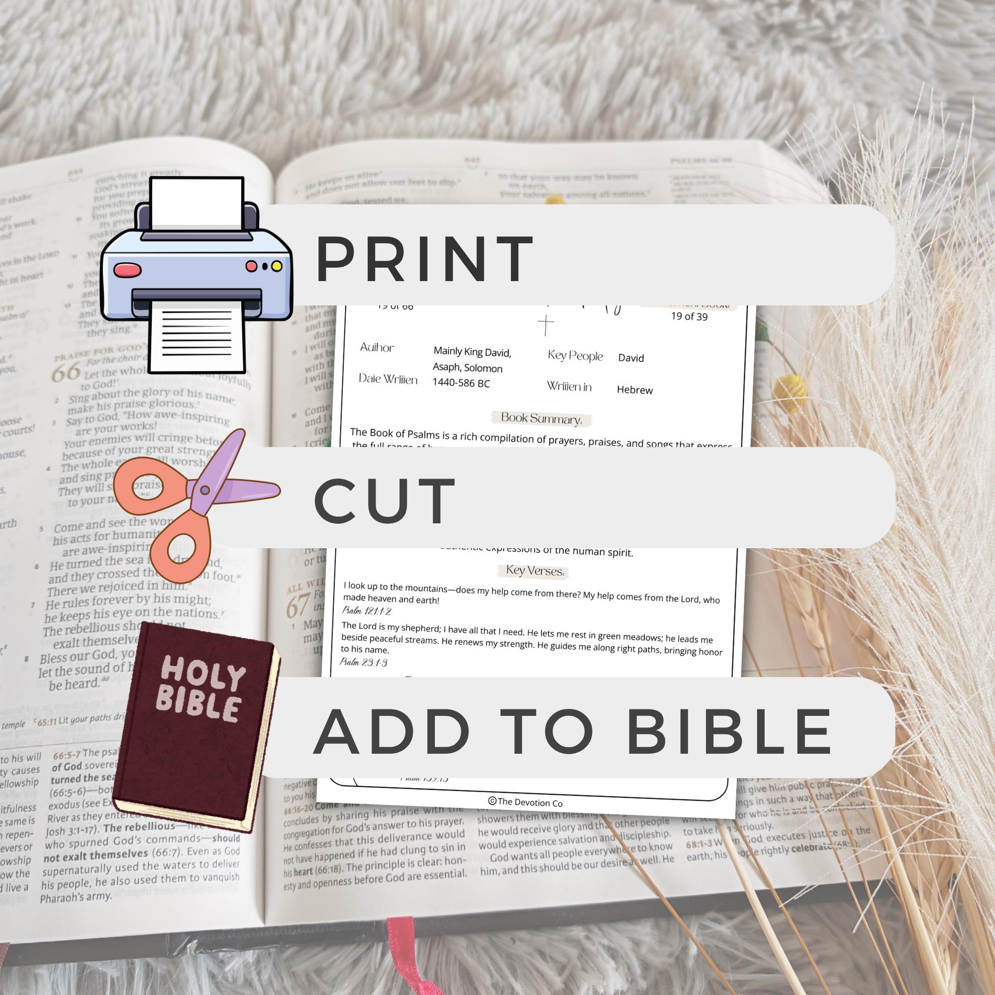 Bible Tip Ins Printable | Easy Bible Summary Guide | Entire Bible ...