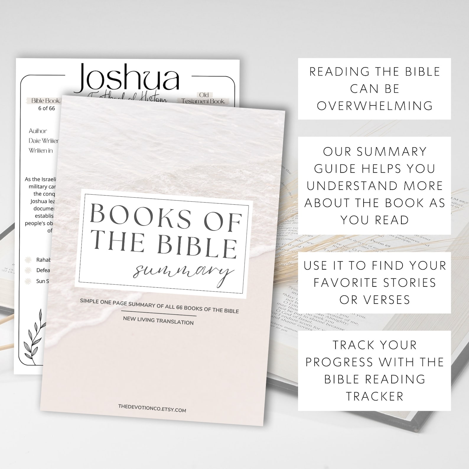 Bible Book Summary Printable Book Bible Summary Guide Bible - Etsy