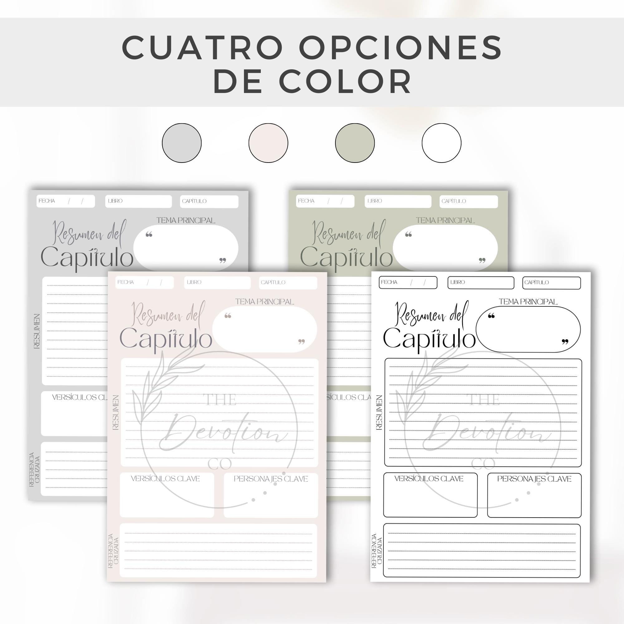 Spanish Chapter Summary Printable Resumen Del Capitulo Chapter Notes ...