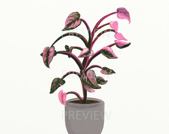 Philodendron Pink Princess Print by Tobancay DIGITAL DOWNLOAD Botanical ...