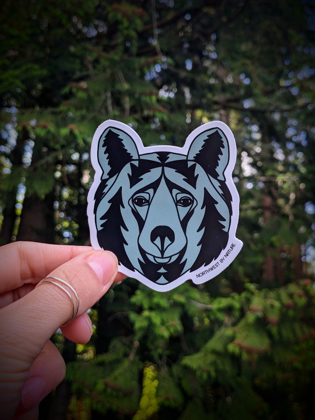 Firry Bear Sticker - Etsy