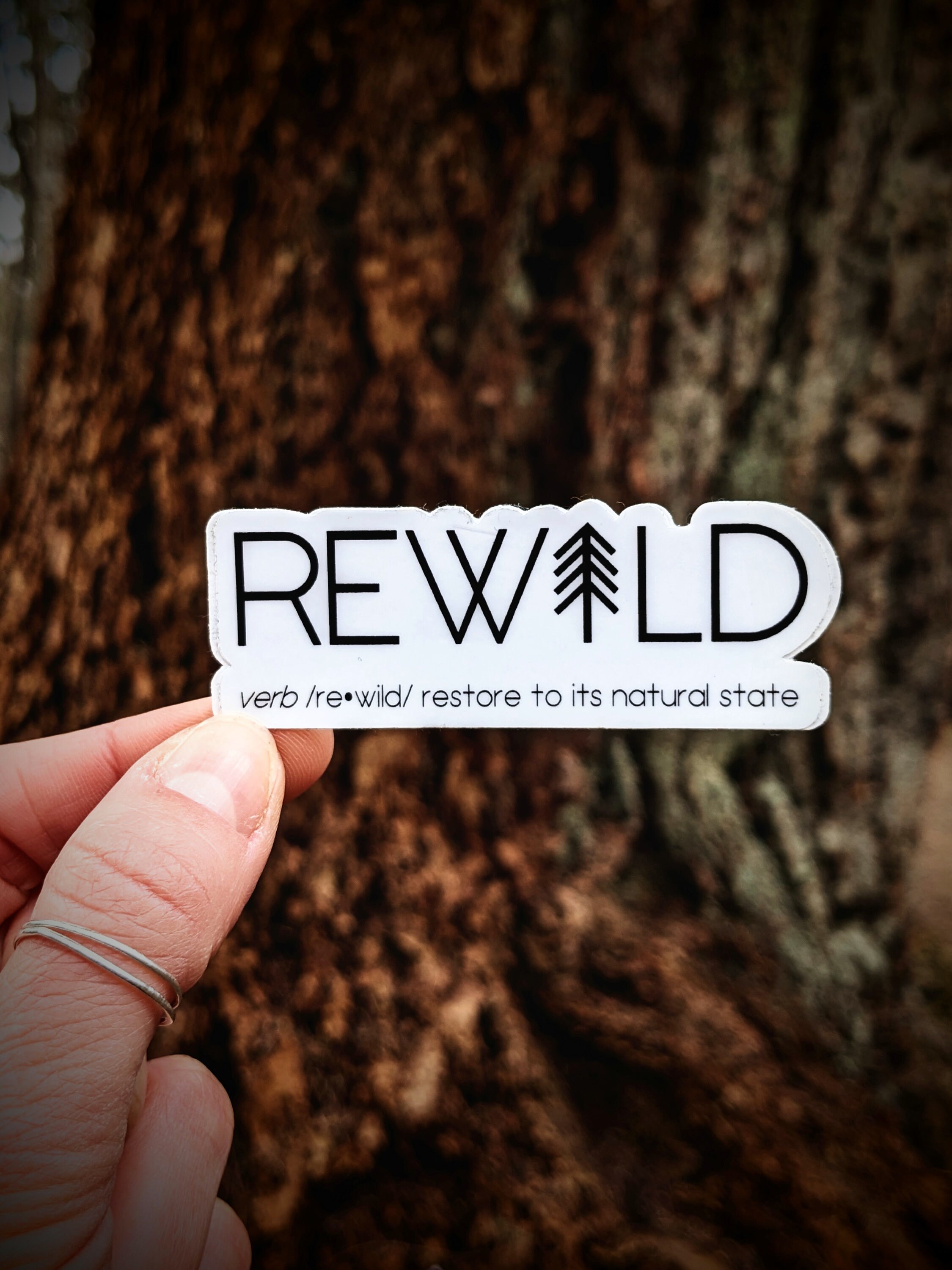REWILD Sticker - Return to Its Natural State - Word Art - Nature - Etsy