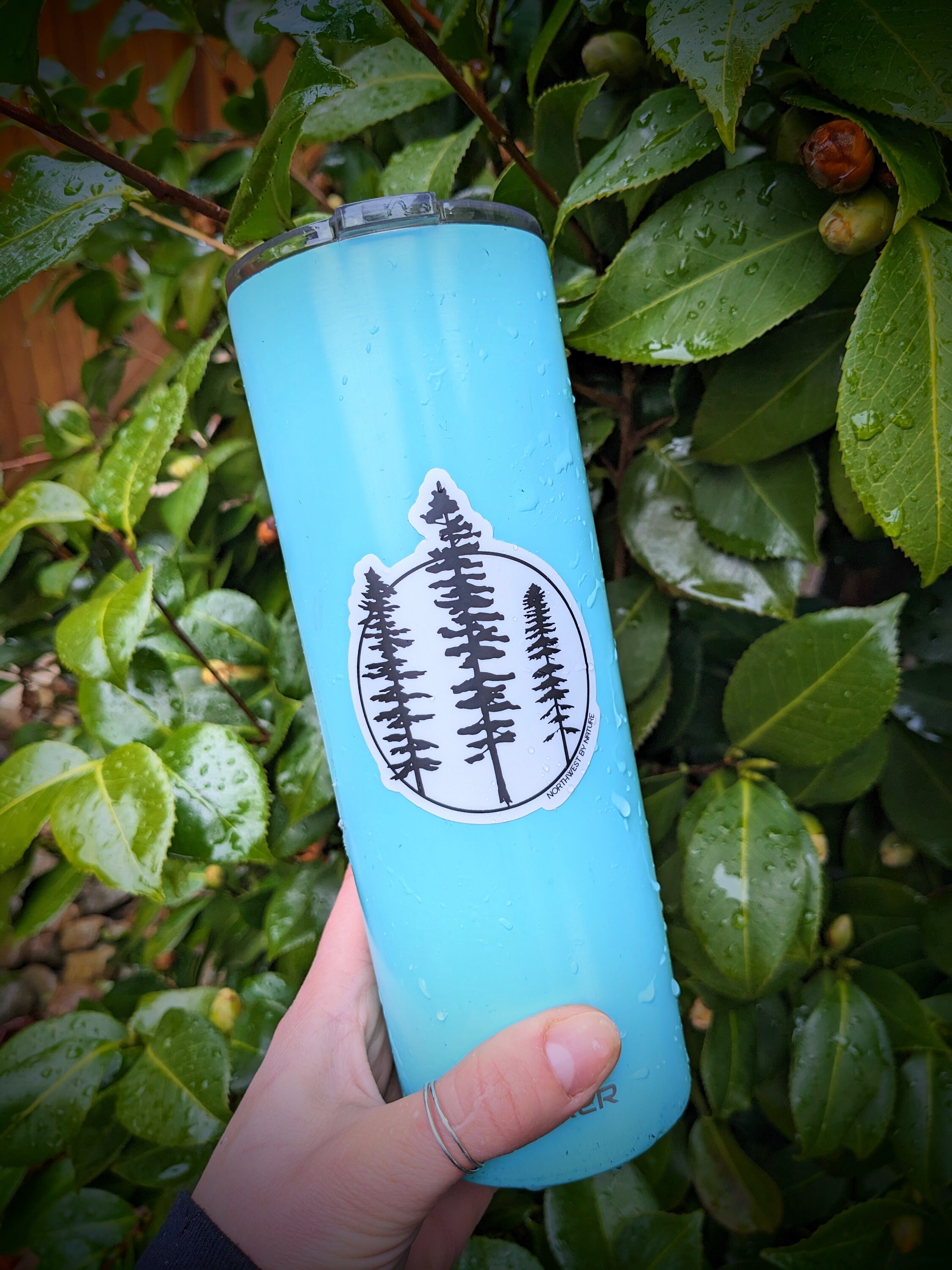 Vancouver Island Trees Sticker Decal - Van Isle - West Coast ...