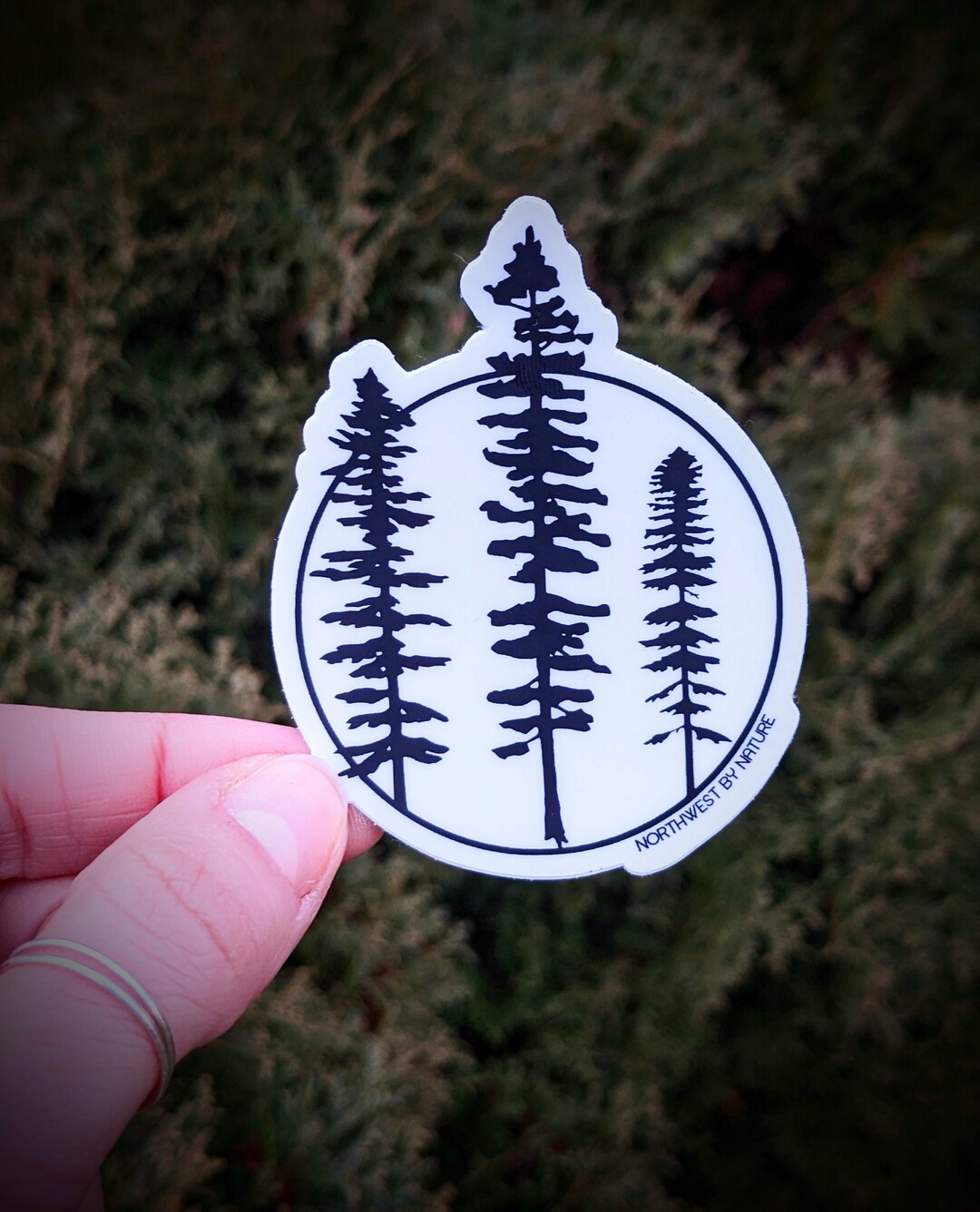 Three Sisters Sticker - 3 Trees - Tree - West Coast - BC - Canada ...