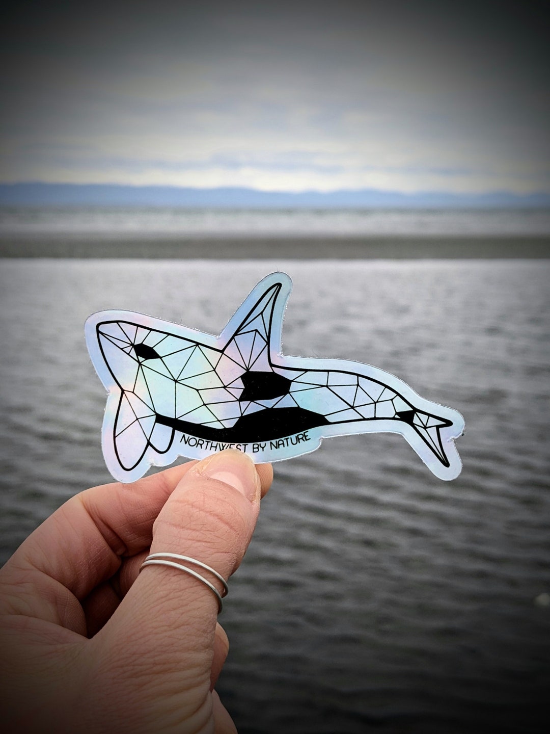 Geo Orca Holographic Sticker - Orca Whale - Geometric - Pacific Ocean ...