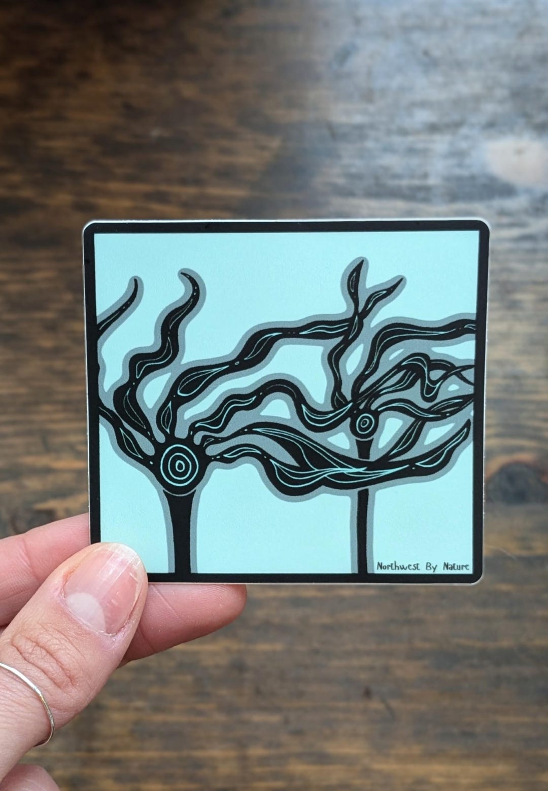 Kelp Sticker - West Coast - Pacific Giant Bull Kelp - Etsy