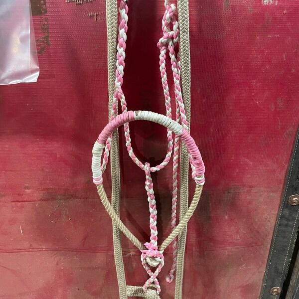 Paracord Halter - Etsy