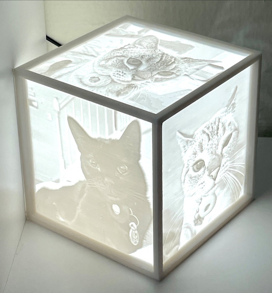 Custom 3D Printed Photo Lithophane Lightbox. Personalize and ...