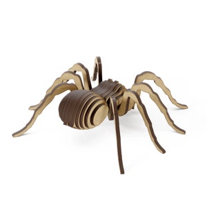 Spider, SVG, .lbrn, Template, Laser Files - Etsy