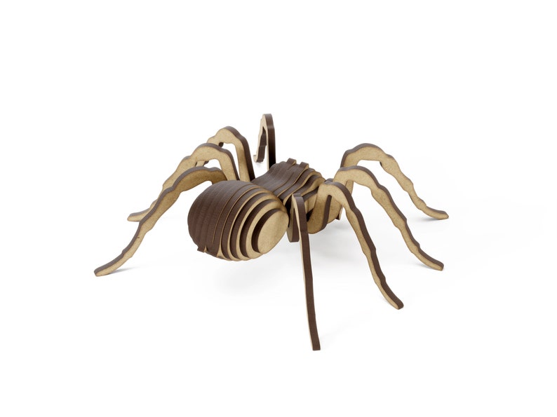 Spider, SVG, .lbrn, Template, Laser Files - Etsy