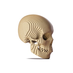 Laser Cut Skulls, Multiple Sizes, SVG, .lbrn, Template - Etsy