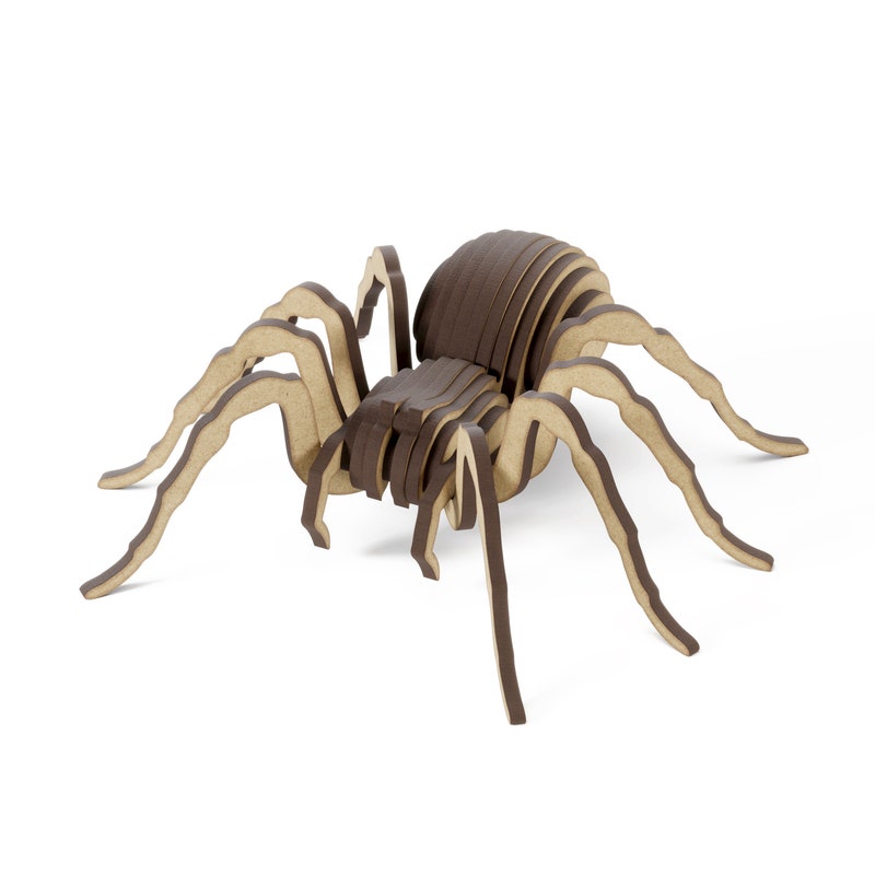 Laser Cut Spider - Etsy