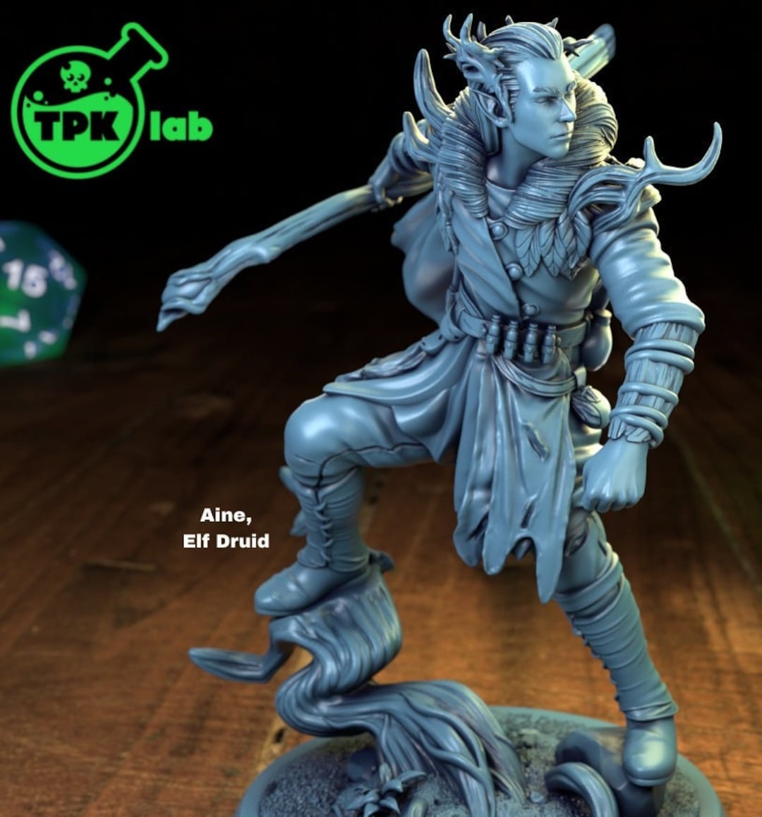 Elf Druid Miniature Male Half-elf Druid D&D Dnd RPG Resin Mini - Etsy