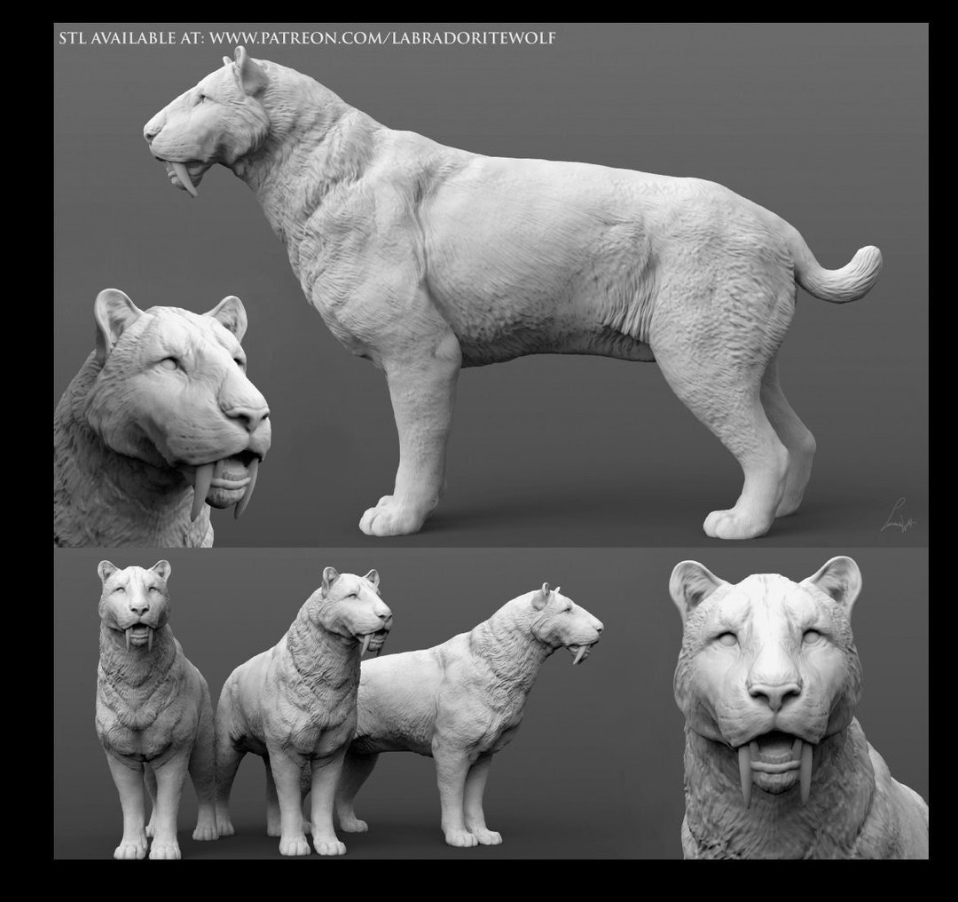 Sabertooth Familiar Miniature Big Cat Basing Bit D&D Dnd Wild - Etsy