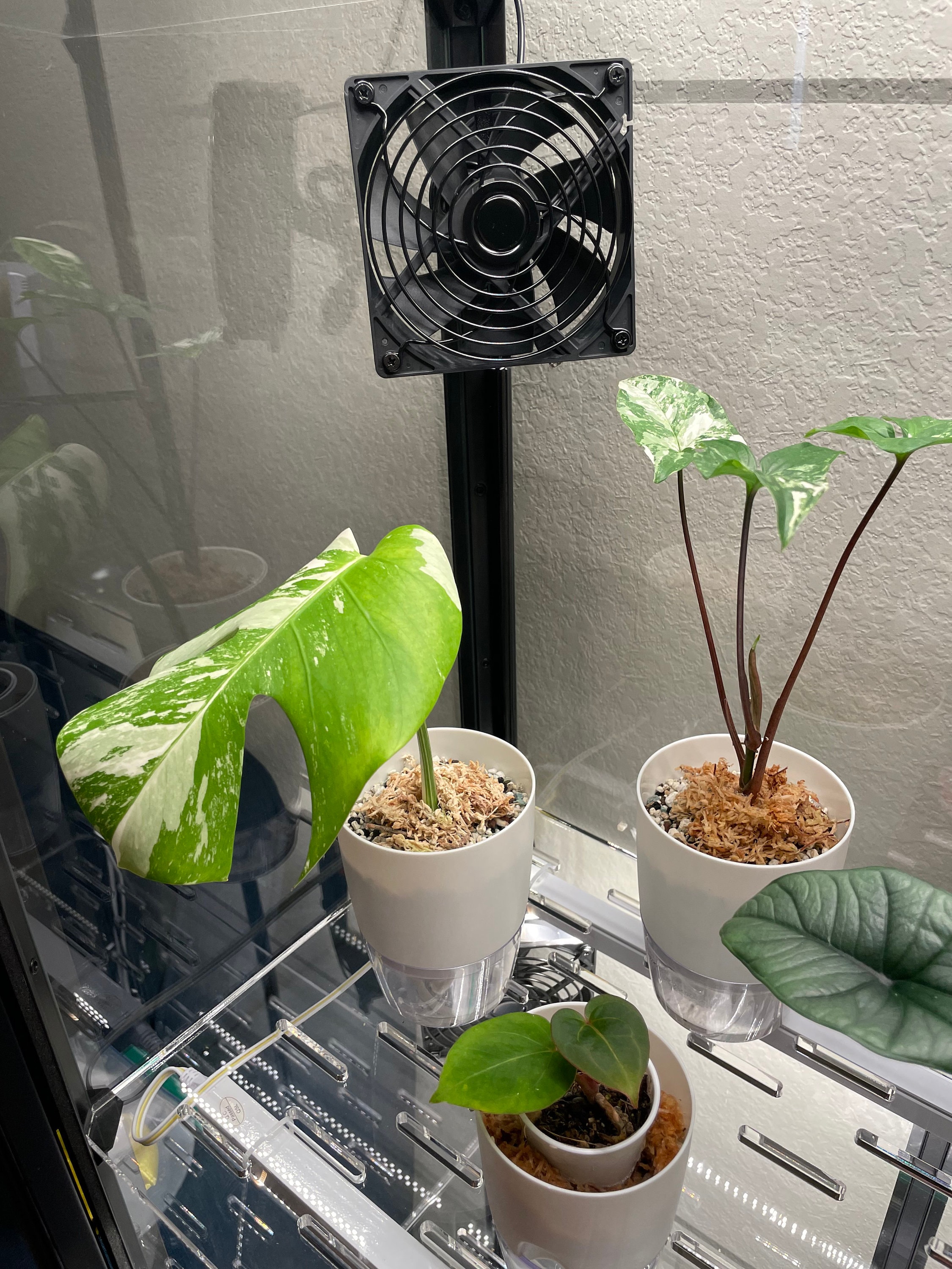 Ikea Milsbo Corner Fan Mount for Greenhouse Cabinet - Etsy