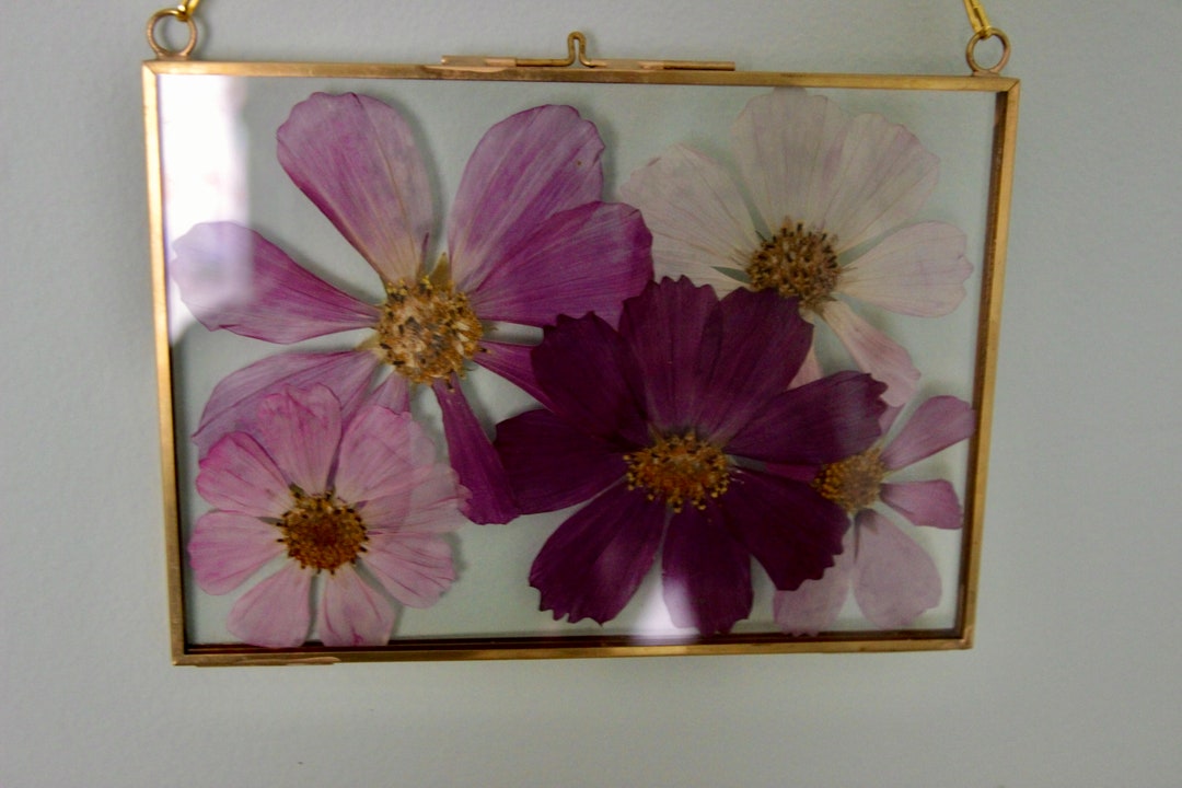 Pressed Flower Frame With Pink Cosmos in Gold Frame, 5x7 - Etsy