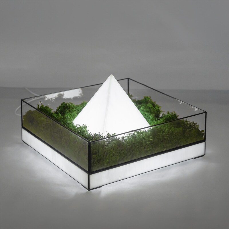 Unique Terrarium - Etsy