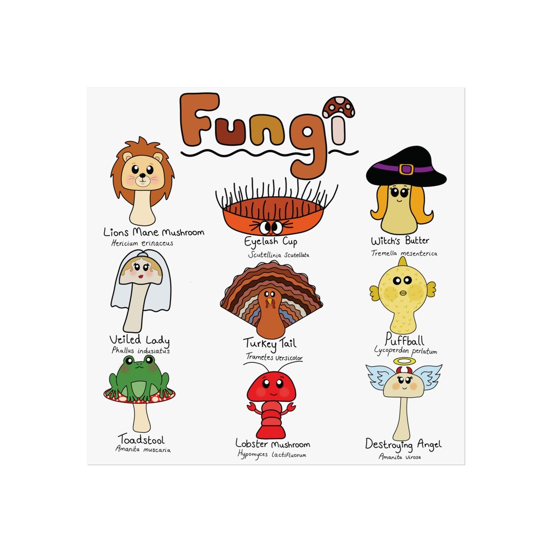 Mushroom Poster, Fungi Poster, Funny Poster, Mushroom Illustrations ...