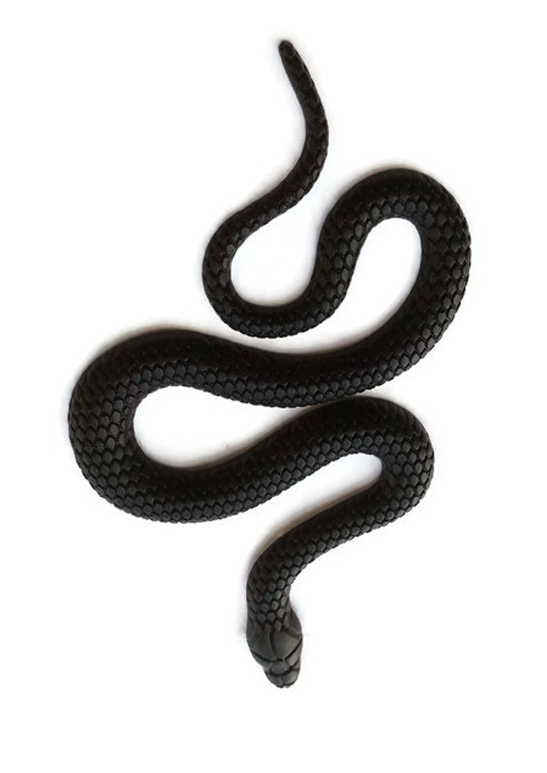 Black Snake/ Gothic Wall Decor / Snake Decor/snake Wall Art /unusual ...