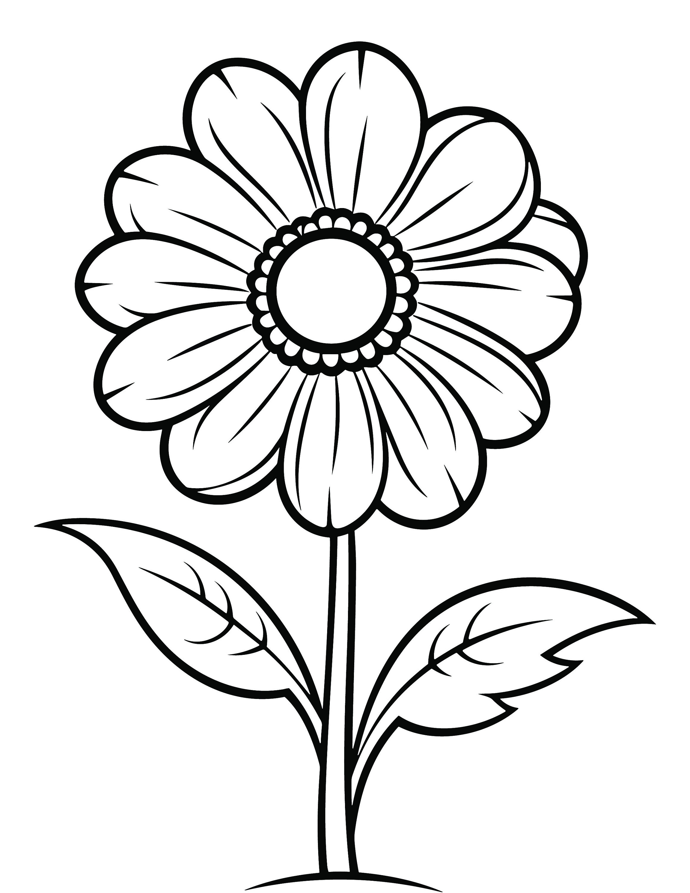 Color Therapy: Printable Flower Coloring Pages for Adults Instant ...
