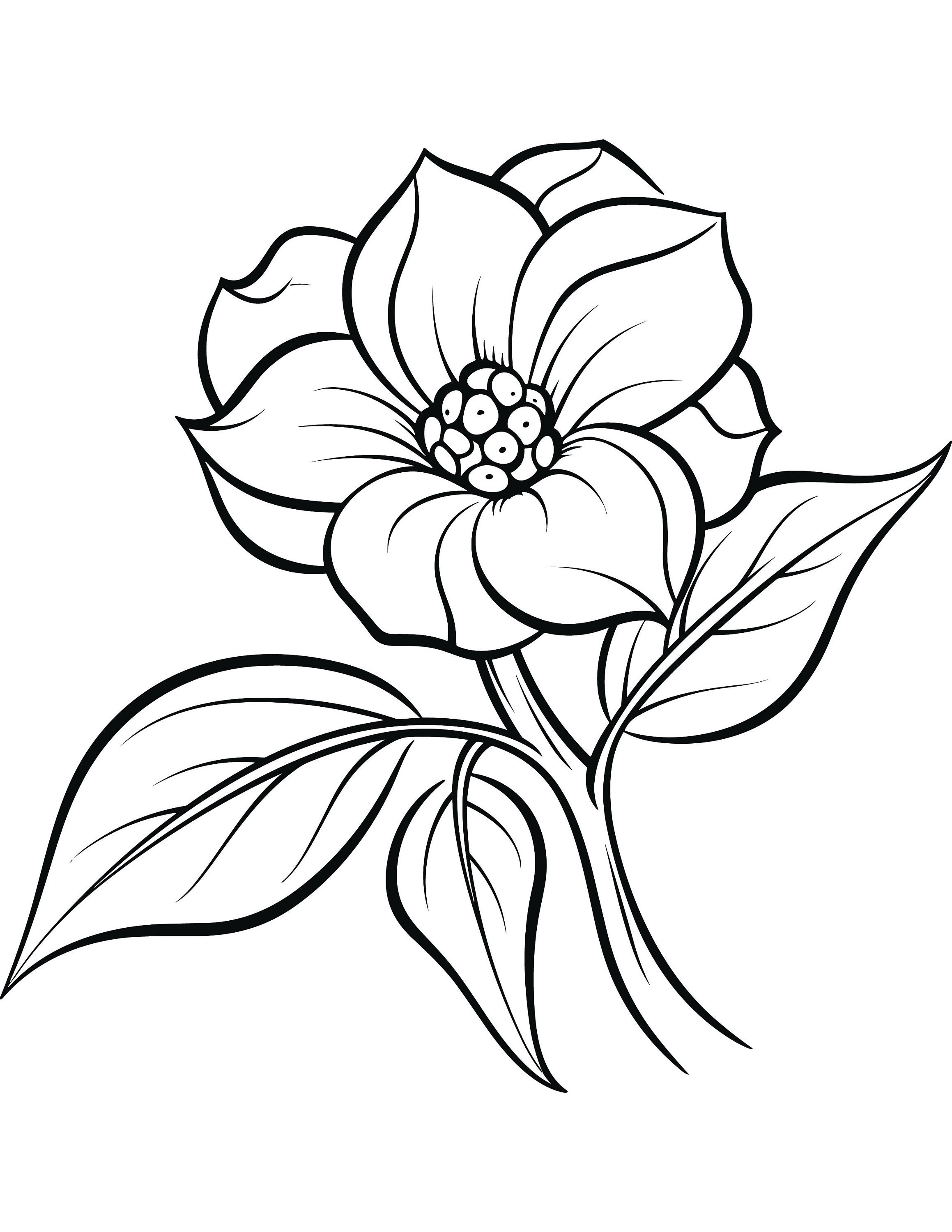Color Therapy: Printable Flower Coloring Pages for Adults Instant ...