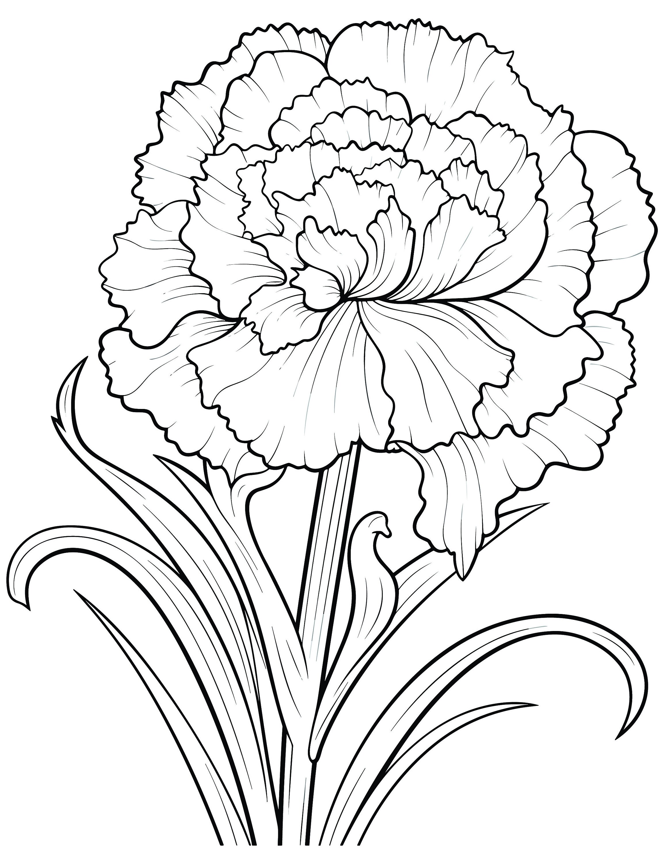 Color Therapy: Printable Flower Coloring Pages for Adults Instant ...