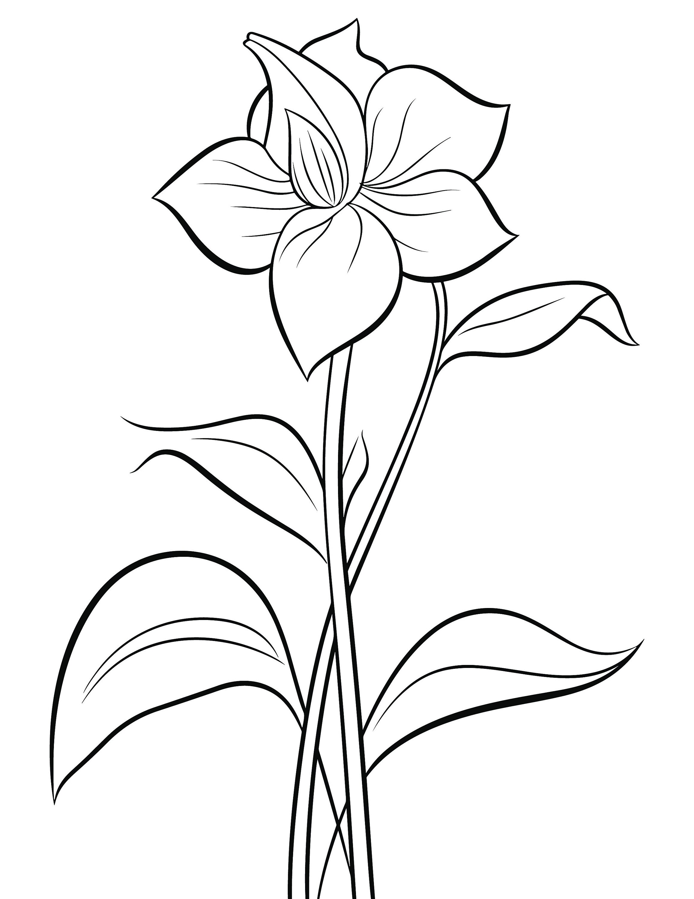 Color Therapy: Printable Flower Coloring Pages for Adults Instant ...
