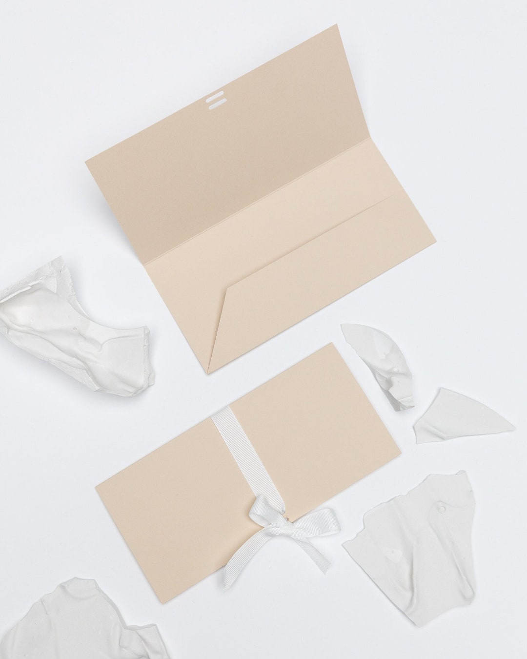 DL Format Folding Envelopes With a Pocket and Holes for Ribbon to Tie ...