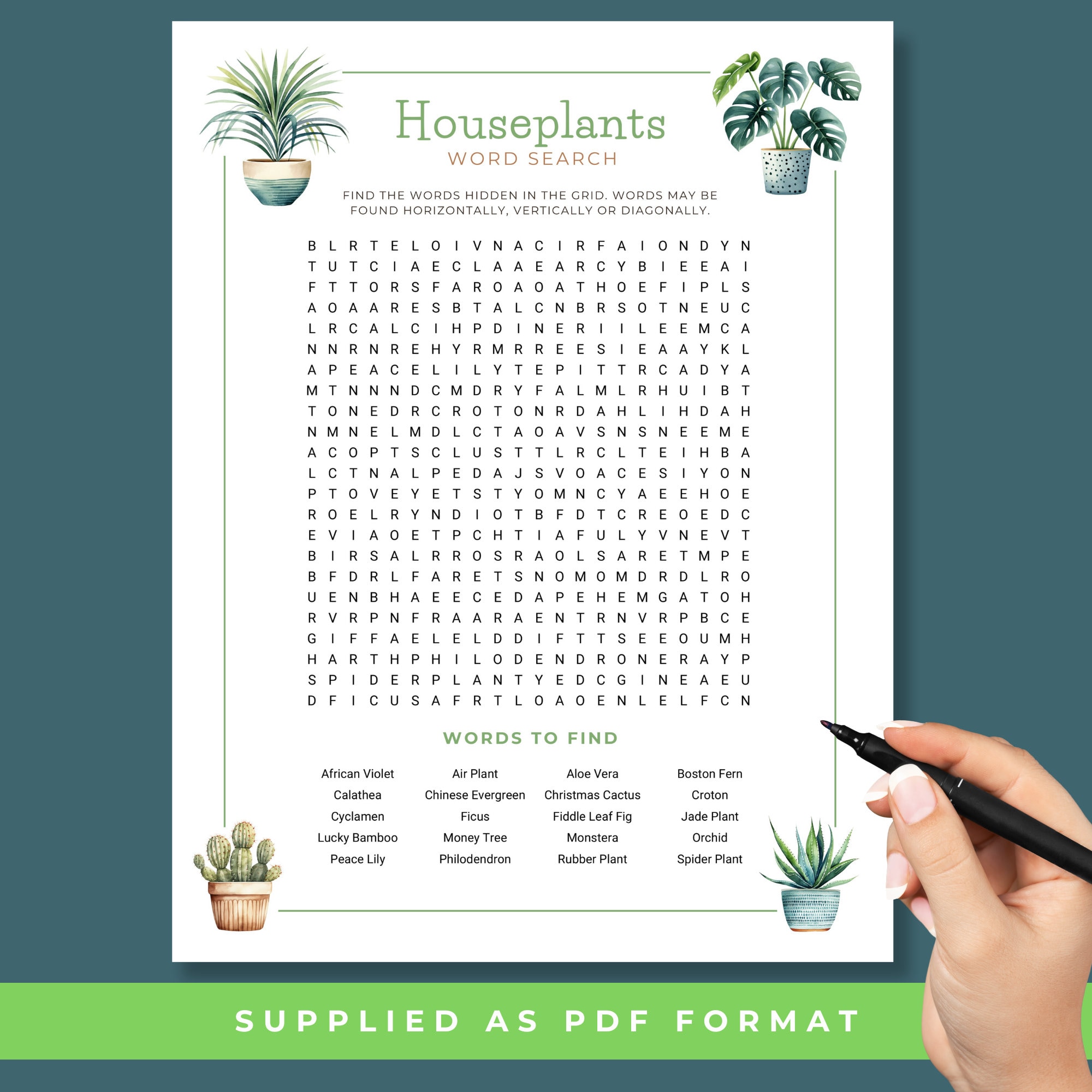 Houseplants Word Search, House Plants Printable Puzzle Game, Word ...