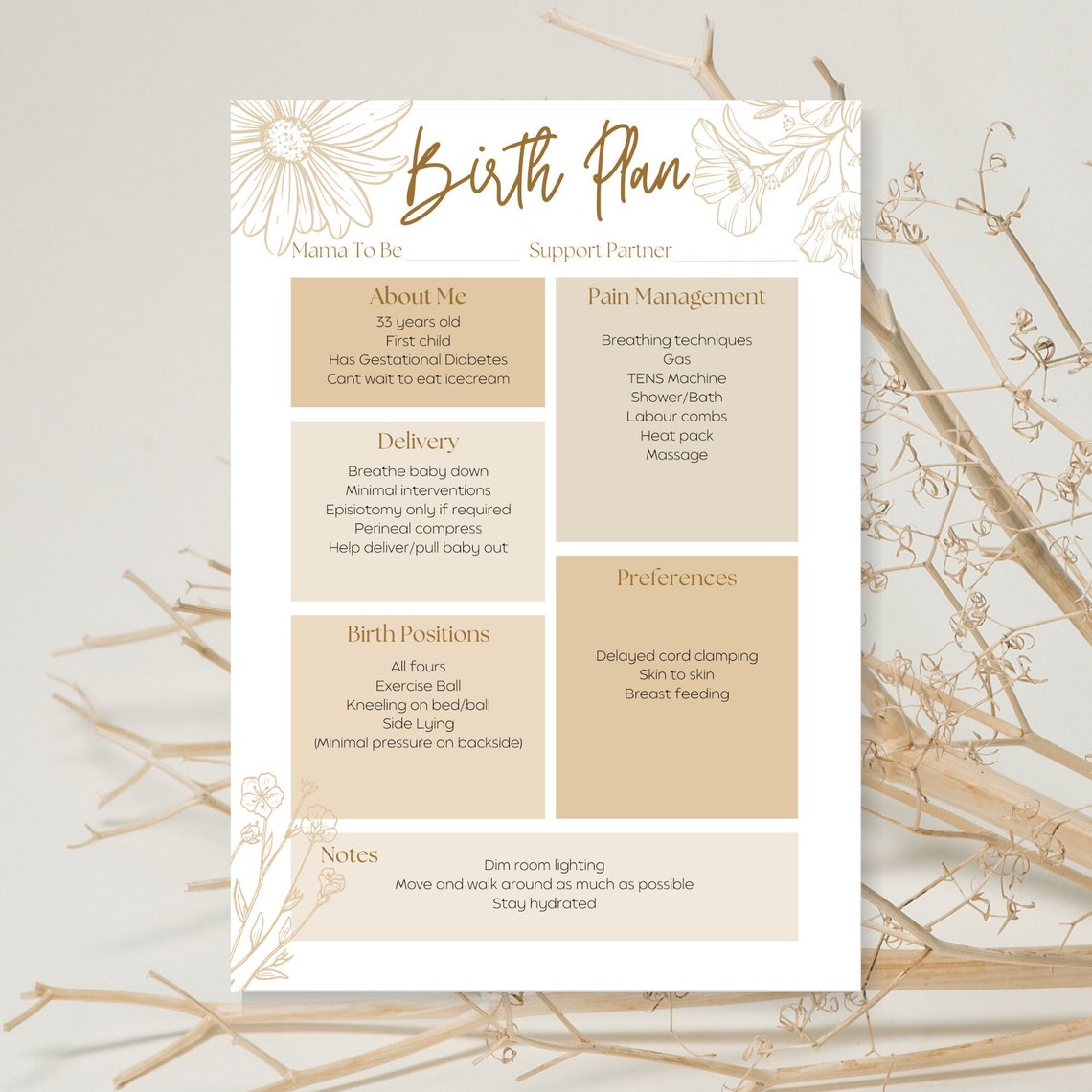 Editable Birth Plan, Birth and Labour Preferences, Printable Birth Plan ...